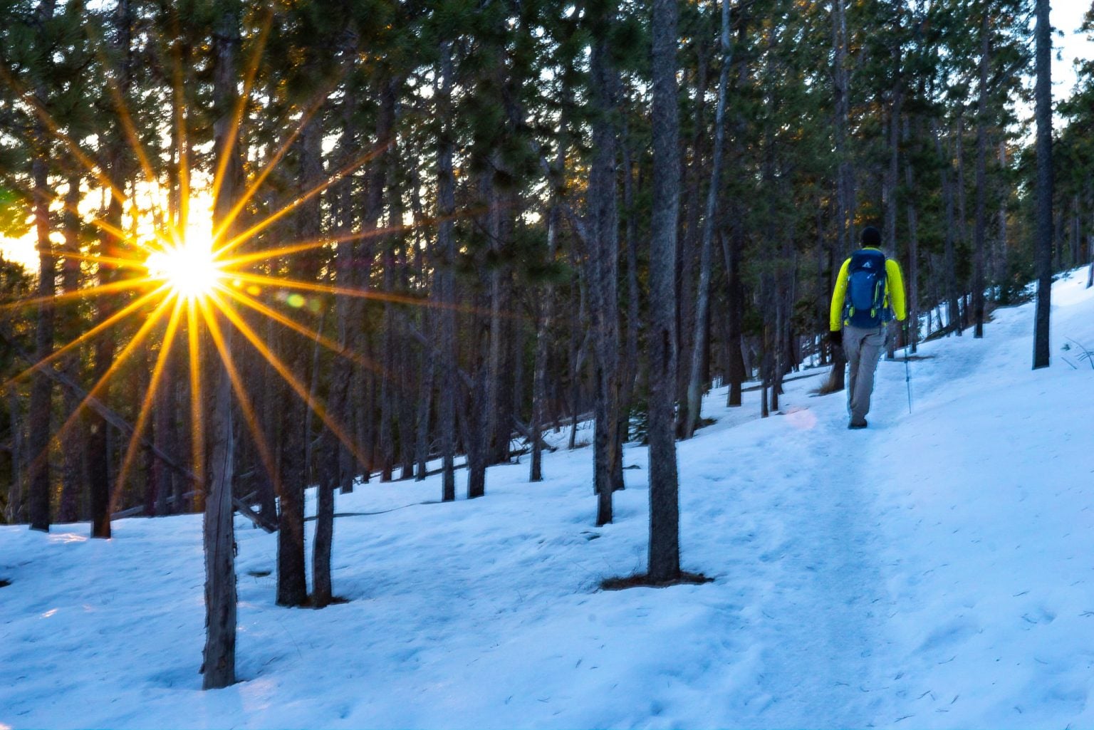11 Amazing Hikes in Evergreen, CO You MUST Hike