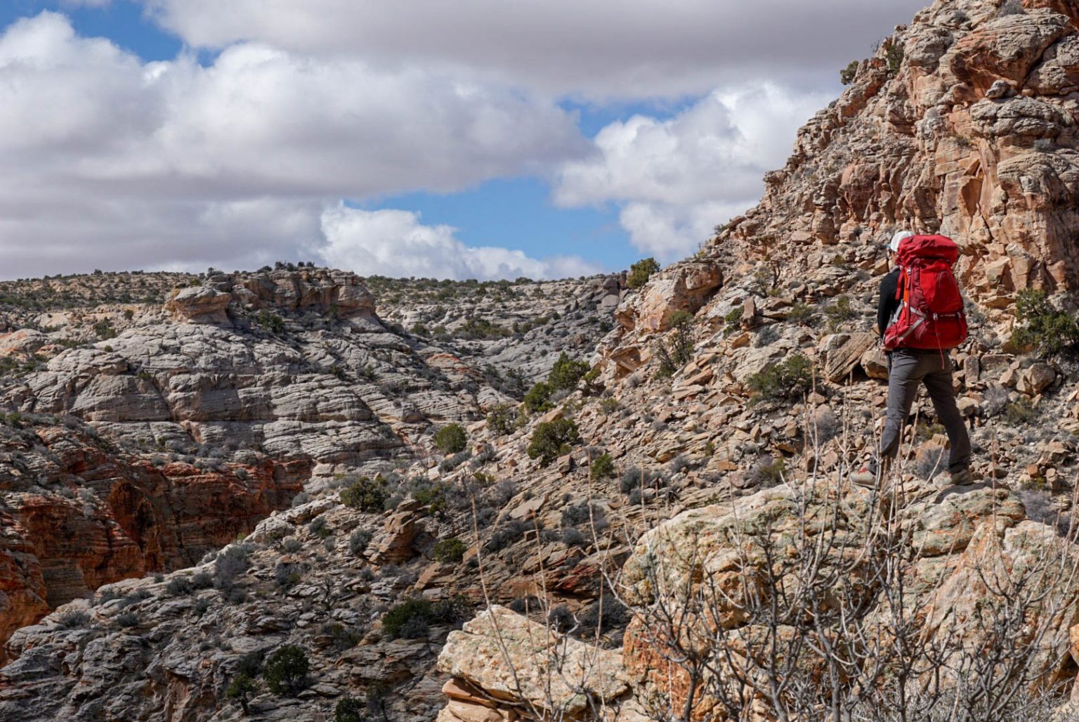 Desert Hiking: 20 Things to Know | Expert Hiking Advice