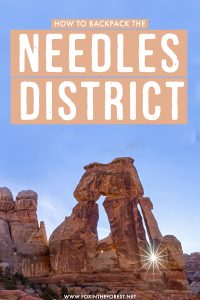 Backpacking Canyonlands Needles District Like a Pro