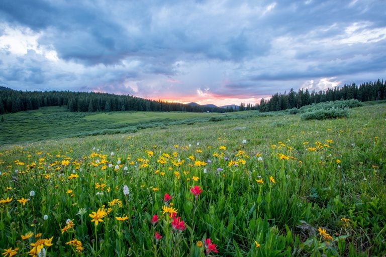 15 Things to Do in Vail this Summer that You Can’t Miss • Fox in the Forest