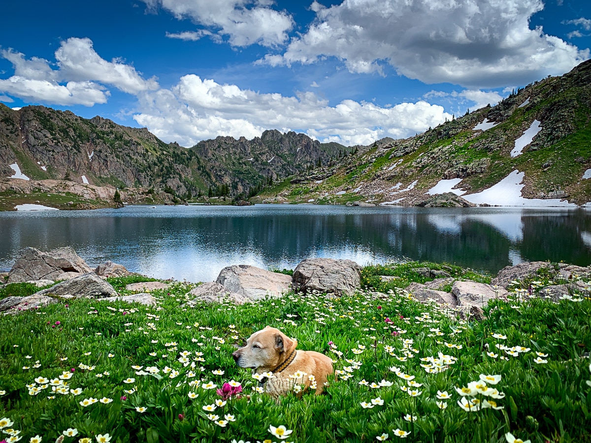 The Best Time to Visit Vail, Colorado Like a Local