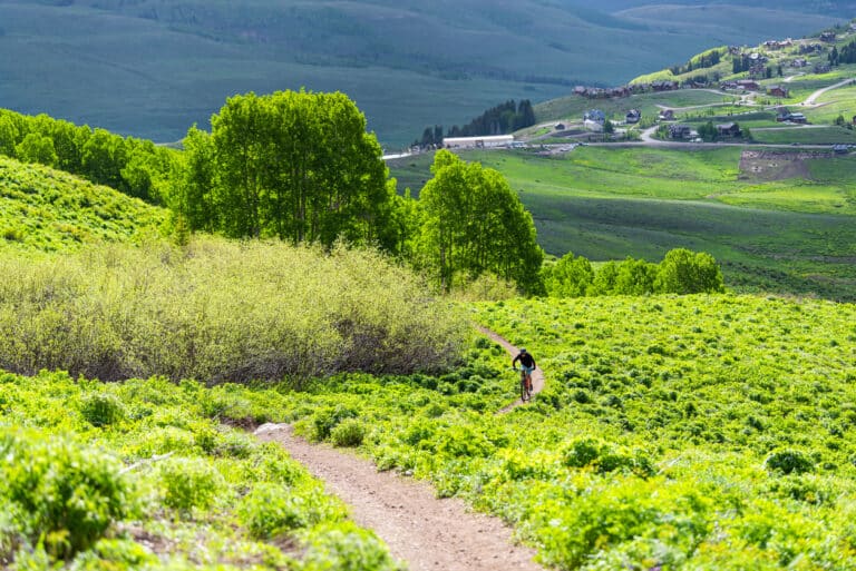 Crested Butte in Summer - A Next Level Awesome Guide