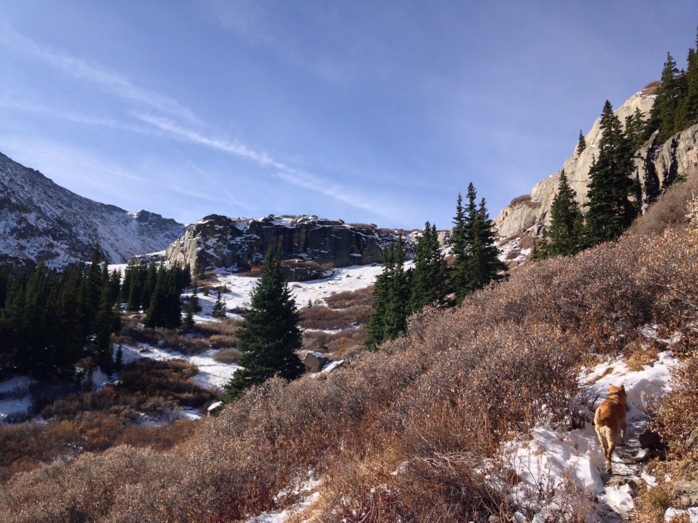 Chicago Lakes Trail Info from a True Local with Secret Tips