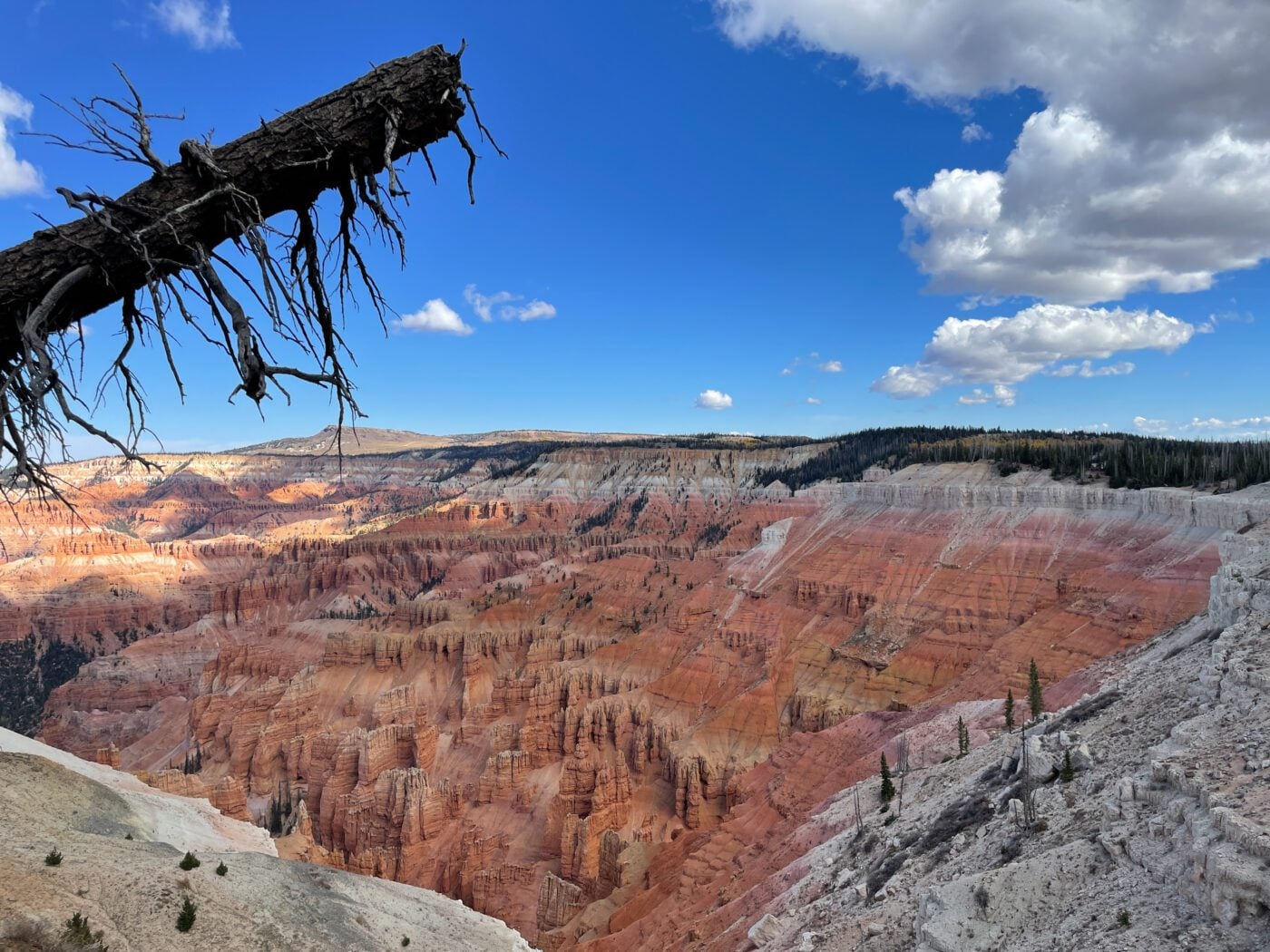 Amazing Moab to Bryce Canyon Guide from an Expert