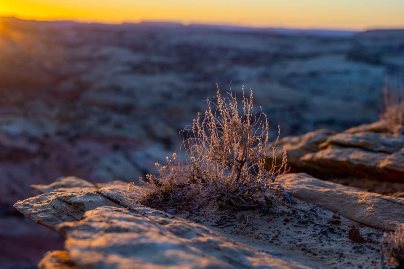 16 Mega Epic Escalante Hikes to Try in 2024 + Secret Expert Tips